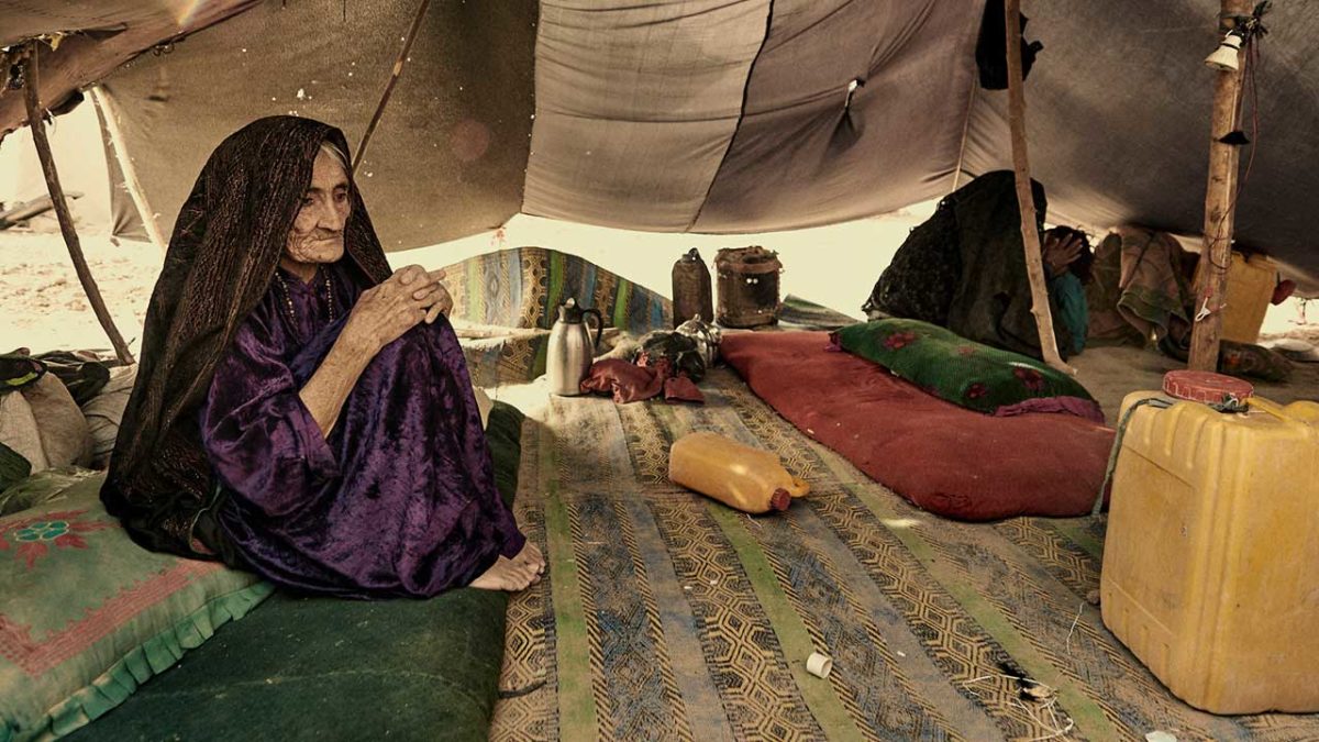 El Sahara Occidental y España: Historia, Política y Derecho - piensaChile